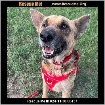 - Pennsylvania German Shepherd Rescue - ADOPTIONS - Rescue Me!
