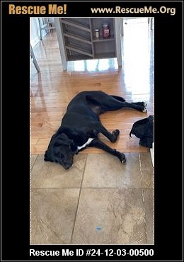 - Nebraska Dog Rescue - ADOPTIONS - Rescue Me!