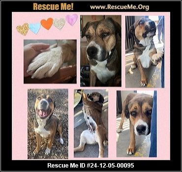 - Oregon Dog Rescue - ADOPTIONS - Rescue Me!