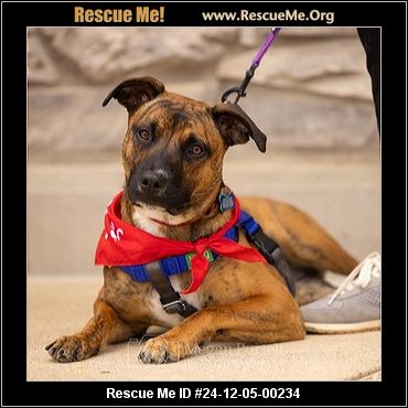 - Virginia Mutt Rescue - ADOPTIONS - Rescue Me!