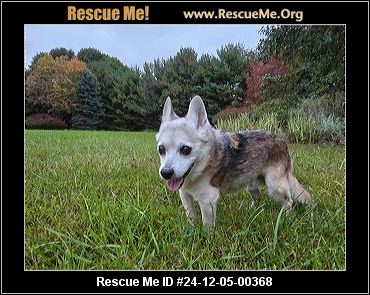 - Delaware Dog Rescue - ADOPTIONS - Rescue Me!