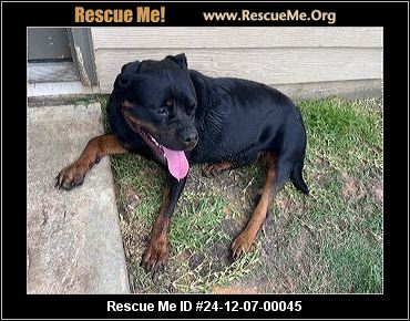 - Texas Rottweiler Rescue - ADOPTIONS - Rescue Me!