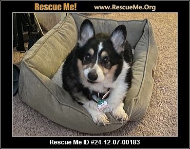 - Wisconsin Corgi Rescue - ADOPTIONS - Rescue Me!