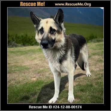 - Pennsylvania German Shepherd Rescue - ADOPTIONS - Rescue Me!