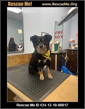 - Delaware Dog Rescue - ADOPTIONS - Rescue Me!