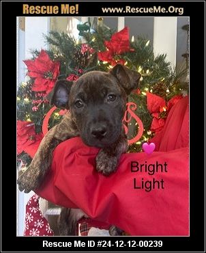 - Delaware Dog Rescue - ADOPTIONS - Rescue Me!