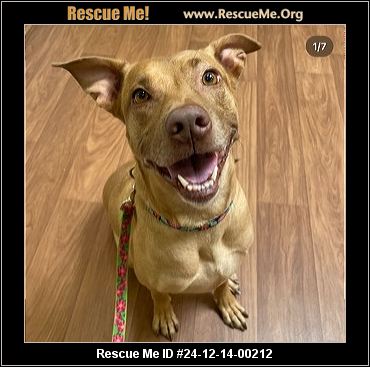 - Mississippi Dog Rescue - ADOPTIONS - Rescue Me!