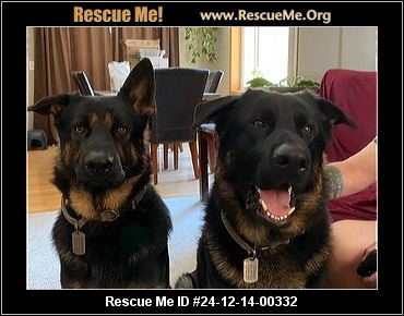 - South Dakota Dog Rescue - ADOPTIONS - Rescue Me!