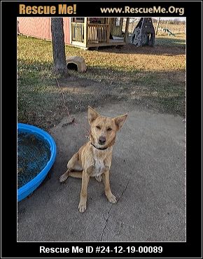 - Oklahoma Dog Rescue - ADOPTIONS - Rescue Me!