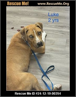 - Oklahoma Boxer Rescue - ADOPTIONS - Rescue Me!