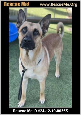 - Oregon Dog Rescue - ADOPTIONS - Rescue Me!