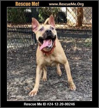 - South Carolina Dog Rescue - ADOPTIONS - Rescue Me!