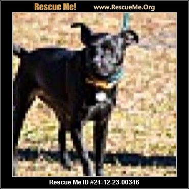 - Wisconsin Dog Rescue - ADOPTIONS - Rescue Me!
