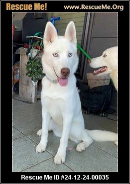 - Mississippi Dog Rescue - ADOPTIONS - Rescue Me!