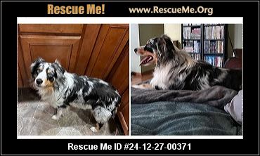 - Alaska Dog Rescue - ADOPTIONS - Rescue Me!