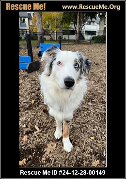 - Oregon Dog Rescue - ADOPTIONS - Rescue Me!