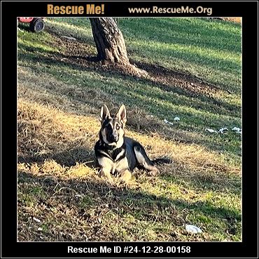 - West Virginia Dog Rescue - ADOPTIONS - Rescue Me!