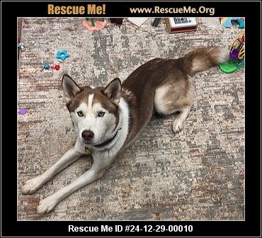 - Oregon Dog Rescue - ADOPTIONS - Rescue Me!
