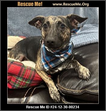 - Oregon Dog Rescue - ADOPTIONS - Rescue Me!