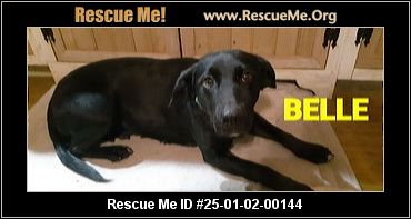 - New Jersey Dog Rescue - ADOPTIONS - Rescue Me!
