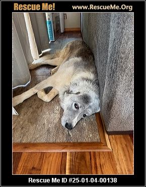 - Colorado Great Pyrenees Rescue - ADOPTIONS - Rescue Me!