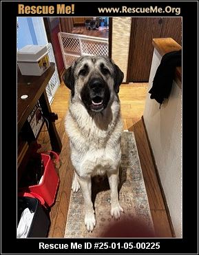 - Oregon Dog Rescue - ADOPTIONS - Rescue Me!