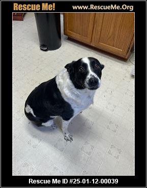 - Nebraska Dog Rescue - ADOPTIONS - Rescue Me!