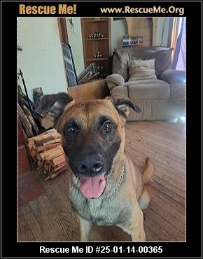 - Pennsylvania Dog Rescue - ADOPTIONS - Rescue Me!