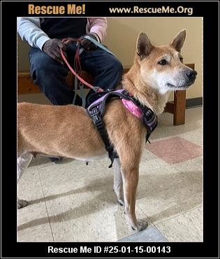 - Mississippi Dog Rescue - ADOPTIONS - Rescue Me!