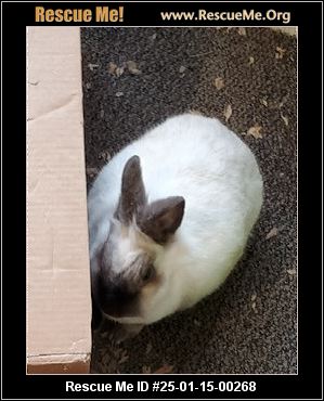 - Pennsylvania Rabbit Rescue - ADOPTIONS - Rescue Me!
