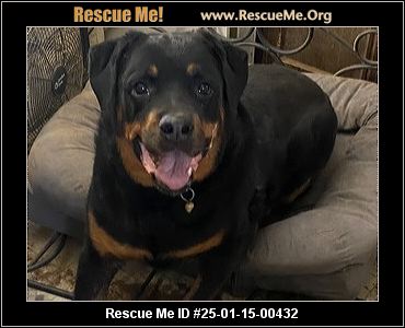 - Texas Rottweiler Rescue - ADOPTIONS - Rescue Me!