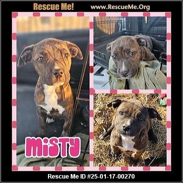 - Mercy Rescue Haven - SC - AVAILABLE PETS