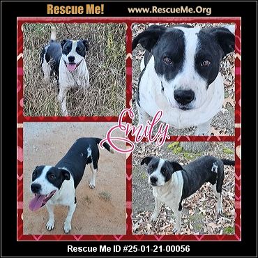 - Mercy Rescue Haven - SC - AVAILABLE PETS