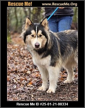 - Oregon Dog Rescue - ADOPTIONS - Rescue Me!