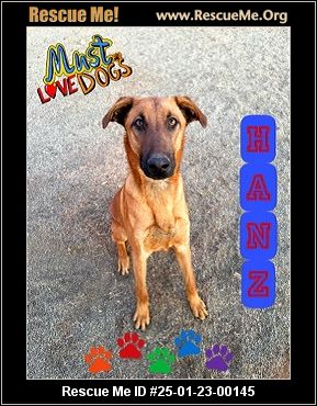 - California Rhodesian Ridgeback Rescue - ADOPTIONS - Rescue Me!