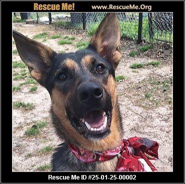- Pennsylvania German Shepherd Rescue - ADOPTIONS - Rescue Me!