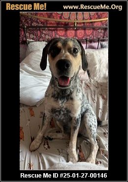 - Pennsylvania Beagle Rescue - ADOPTIONS - Rescue Me!