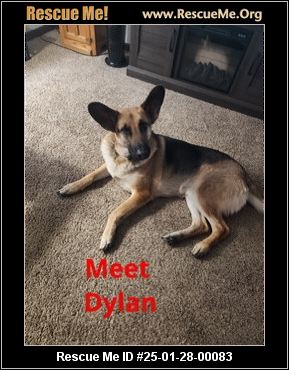 - Indiana German Shepherd Rescue - ADOPTIONS - Rescue Me!