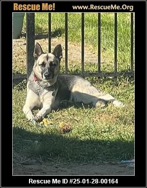 - Delaware Dog Rescue - ADOPTIONS - Rescue Me!