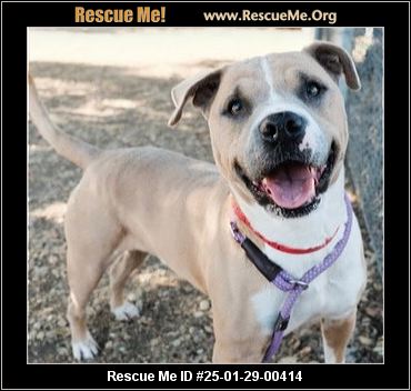 - Oregon Dog Rescue - ADOPTIONS - Rescue Me!