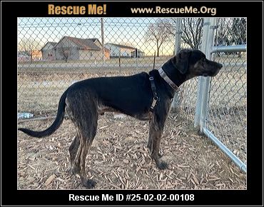 - Wisconsin Dog Rescue - ADOPTIONS - Rescue Me!