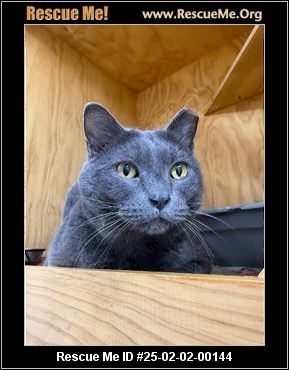 - Wisconsin Cat Rescue - ADOPTIONS - Rescue Me!