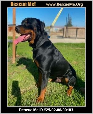 - Oregon Rottweiler Rescue - ADOPTIONS - Rescue Me!