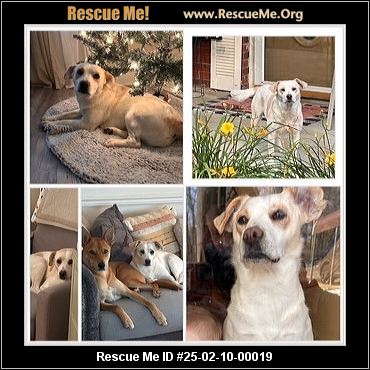 - Tennessee Dog Rescue - ADOPTIONS - Rescue Me!