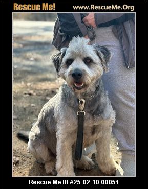 - Alabama Dog Rescue - ADOPTIONS - Rescue Me!