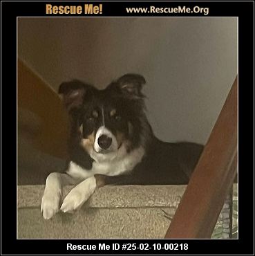 - Nebraska Dog Rescue - ADOPTIONS - Rescue Me!