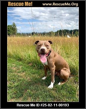- Oregon Dog Rescue - ADOPTIONS - Rescue Me!