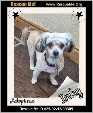 - Oklahoma Yorkie Rescue - ADOPTIONS - Rescue Me!