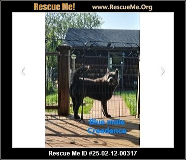 - Virginia Dog Rescue - ADOPTIONS - Rescue Me!