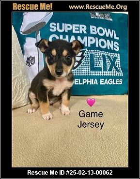 - Delaware Dog Rescue - ADOPTIONS - Rescue Me!